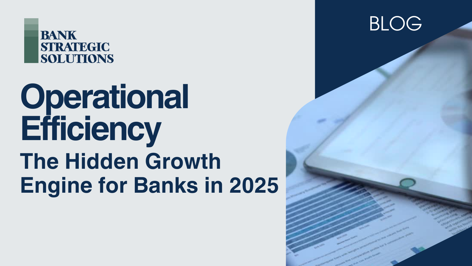 Operational Efficiency: The Hidden Growth Engine for Banks in 2025 ...